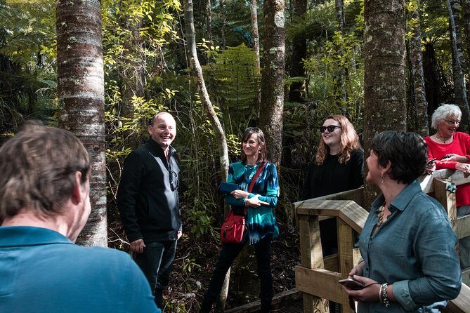 Bay of Islands Glow Worm Caves & Scenic Shore Excursion - Transport and Group Size
