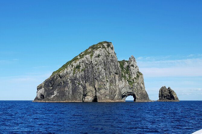 Bay of Islands Hole in the Rock Cruise Day Tour - Key Points