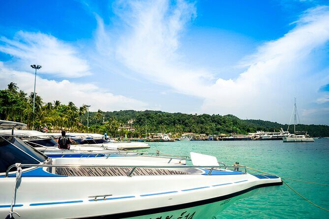 Bay of Islands Hole in the Rock Cruise Day Tour - Who Would Love This Tour?