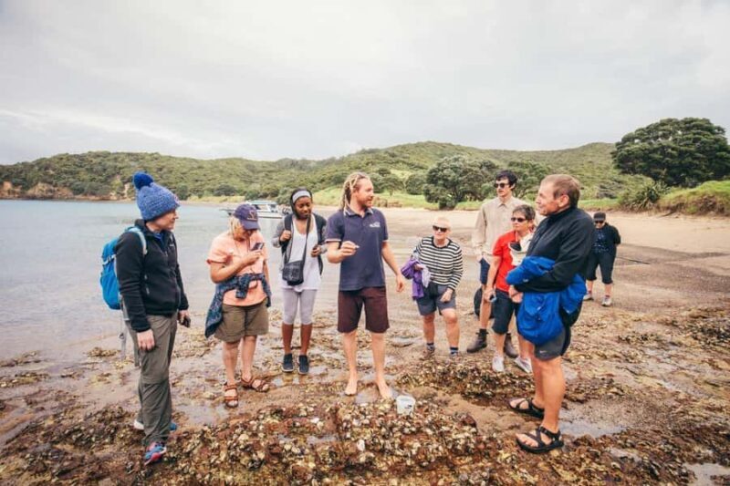 Bay of Islands Journey: Sail, Snorkel & Explore in 5 Days - Key Points