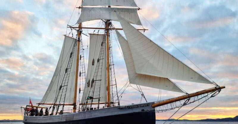 Bay of Islands: Late Afternoon Sailing Cruise - Discover the Bay of Islands: Late Afternoon Sailing Cruise