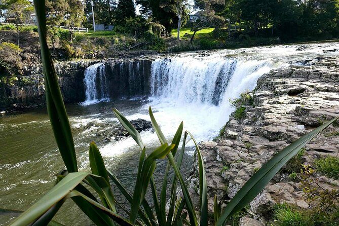 Bay of Islands - Mini Tour: (75-90mins) - A Closer Look at the Mini Tour Experience