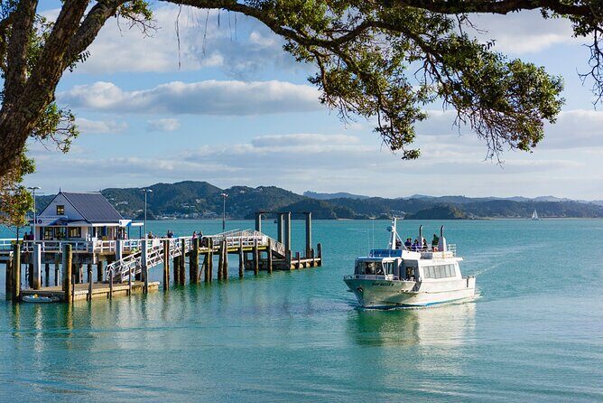 Bay of Islands Scenic Tour - Introduction: What’s in Store?