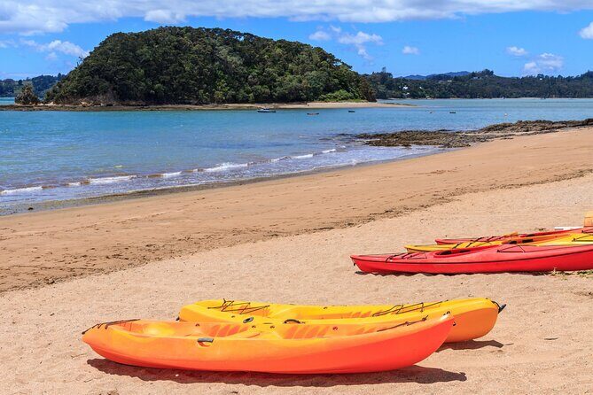 Bay of Islands Scenic Tour - Practical Details for Travelers