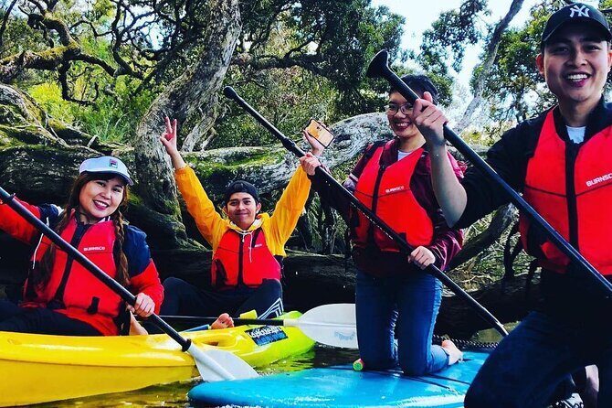 Bay of Islands Waterfall Explorer Kayaking Tour - The Value of This Tour