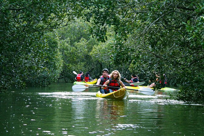 Bay of Islands Waterfall Explorer Kayaking Tour - Authentic Experiences and Unique Perspectives