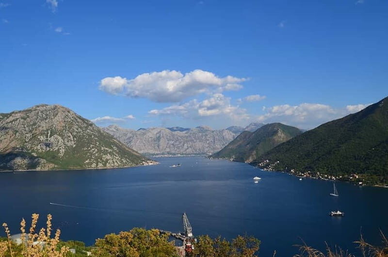 Bay of Kotor: 2-Hour Stand Up Paddle Board Tour - Key Points