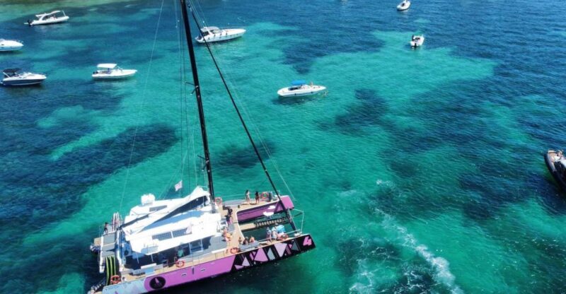 Bay of Quiberon or Morbihan gulf: Evening 2 hours navigation - FAQs