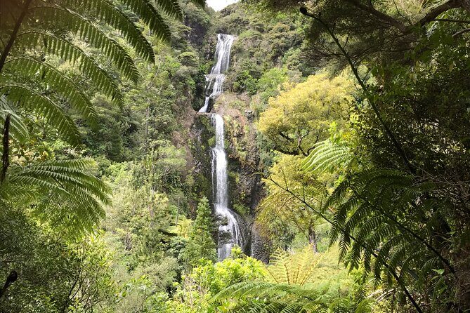 Bay of the Boisterous Seas Piha & Karekare - Authentic Experiences and Reviewer Insights