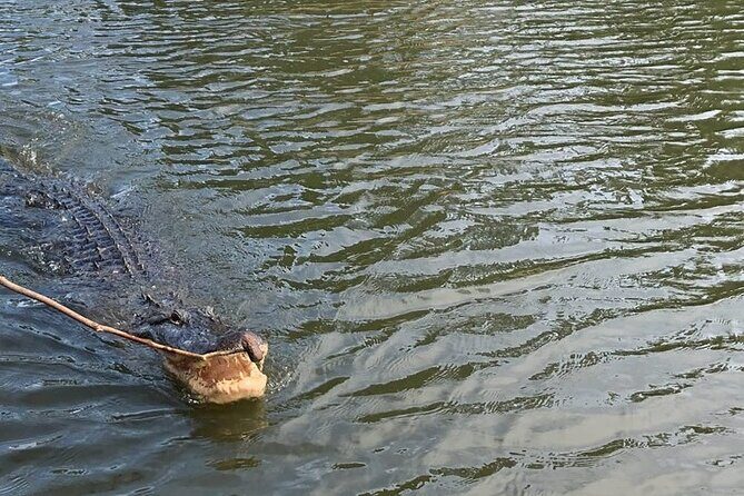 Bay Saint Louis Discovery Boat Tour - FAQs about the Bay Saint Louis Discovery Boat Tour