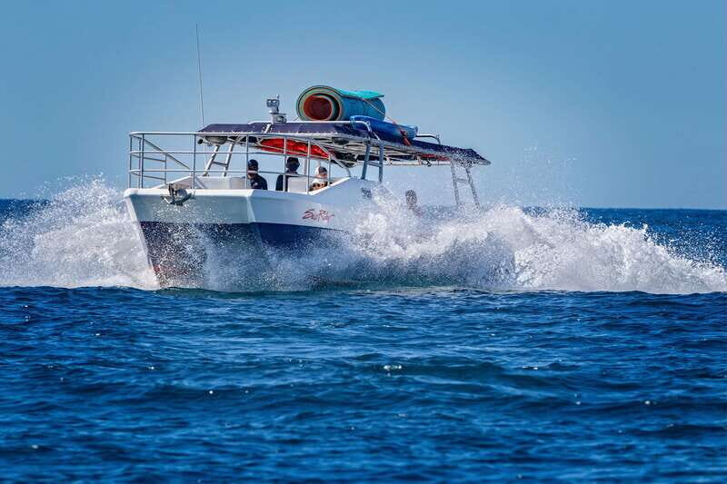 Bay trip and the Arch of Cabo San Lucas - Key Points