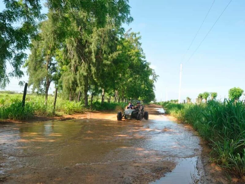 Bayahibe and Altos de Chavón: Guided 5-hour Buggy Tour - An In-Depth Look at the Tour