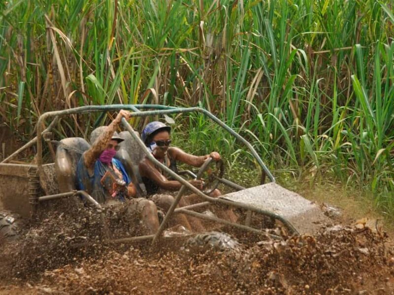 Bayahibe and Altos de Chavón: Guided 5-hour Buggy Tour - Frequently Asked Questions