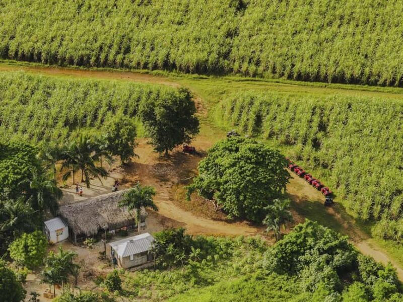 Bayahibe: ATV Tour with River Chavón and Local Tastings - The Sum Up: Is It Worth It?