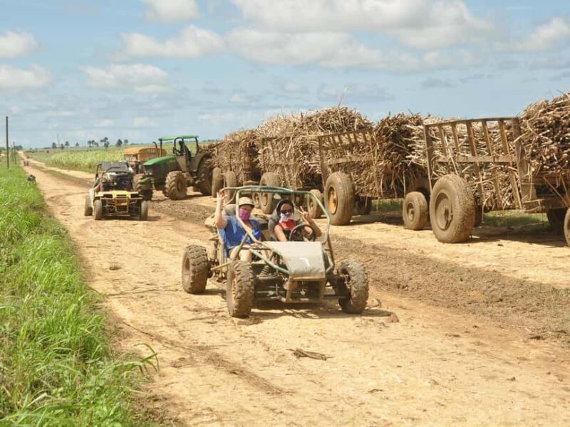 Bayahibe: Buggy and Horseback Riding Tour - Key Points
