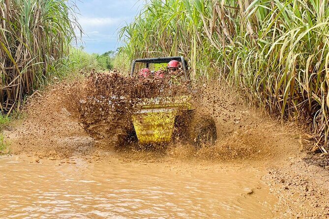 Bayahibe: Buggy drive Adventure with River Swim & Local Tastings - An In-Depth Look at the Experience