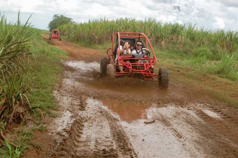 Bayahibe: Buggy tour amazing half-day - Who Should Book This Tour?