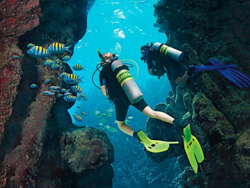 Bayahibe: Catalina Island Scuba Diving Tour with Lunch - What Makes This Tour Stand Out