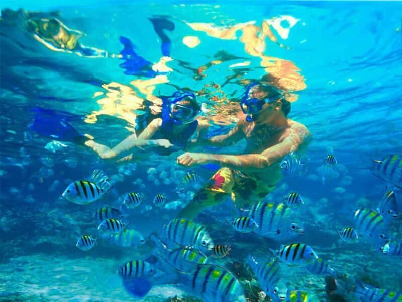 Bayahibe: Catalina Island Snorkeling and Diving Tour - Key Points