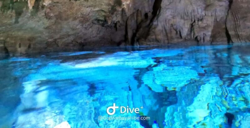 Bayahibe - Cenotes Scuba Diving - Godive Bayahibe - Value and Practical Considerations