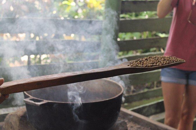 Bayahibe Countryside Safari from La Romana - Visiting a Local School and Village: Authentic Human Connection