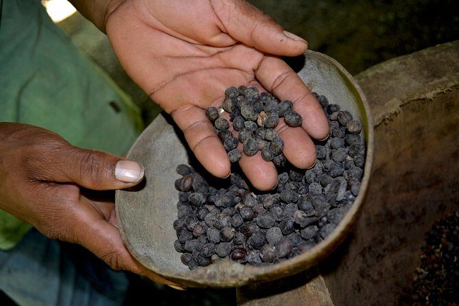 Bayahibe Countryside Safari from La Romana - Authenticity, Value, and Overall Impression