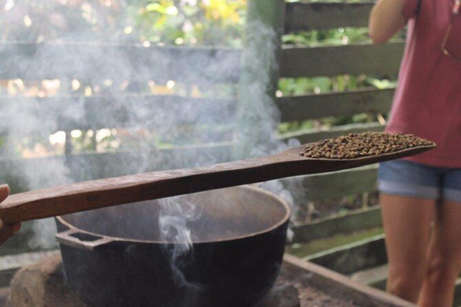 Bayahibe Countryside Safari from La Romana - Final Thoughts