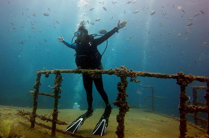 Bayahibe Diving - Exploring the Bayahibe Diving Experience