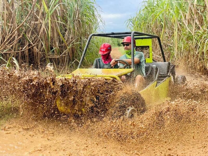 Bayahibe: Jungle Off-Road Buggy Adventure - Authentic Experiences and Traveler Feedback