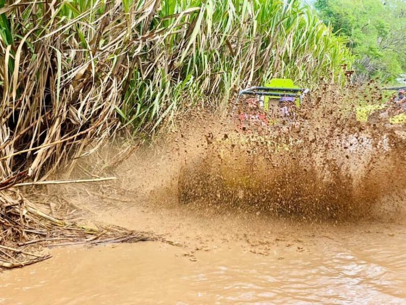 Bayahibe: Jungle Off-Road Buggy Adventure - Final Thoughts: Who Will Love This Tour?