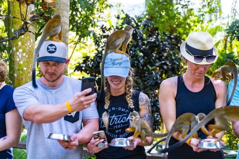 Bayahibe/La Romana: 4x4 Buggy and Monkeyland Tour - Key Points