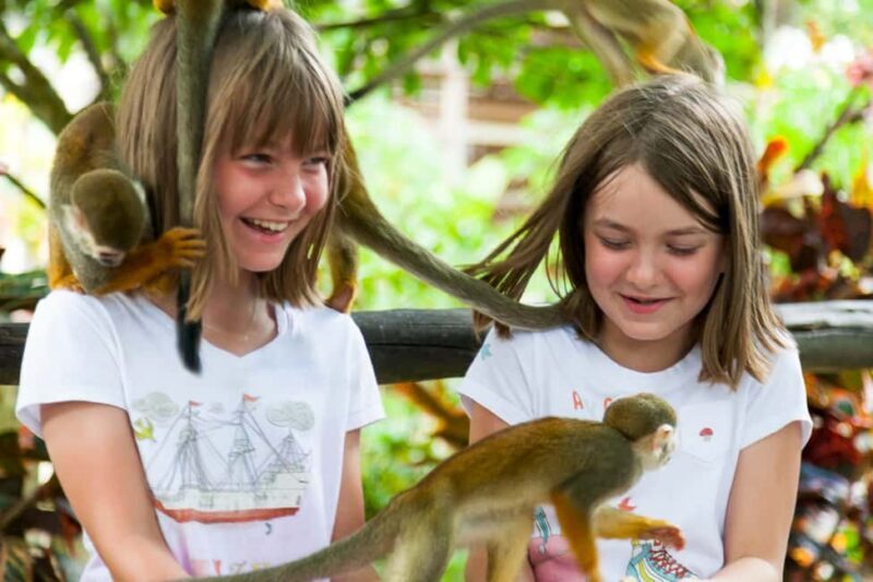 Bayahibe/La Romana: 4x4 Buggy and Monkeyland Tour - Who Should Consider This Tour?