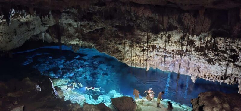 Bayahibe: National Park Jungle Walk & Snorkeling in Cenotes - Key Points