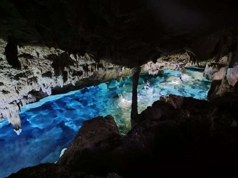Bayahibe: National Park Jungle Walk & Snorkeling in Cenotes - Exploring the Dominican Jungle and Cenotes: What To Expect