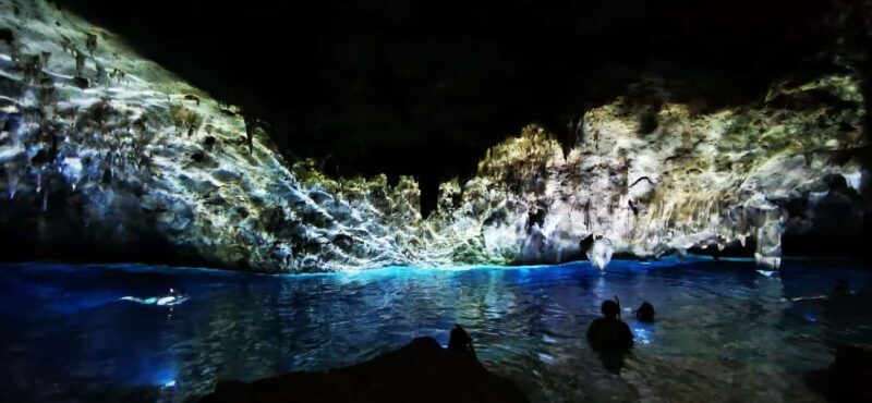 Bayahibe: National Park Jungle Walk & Snorkeling in Cenotes - Who Is This Tour Best For?