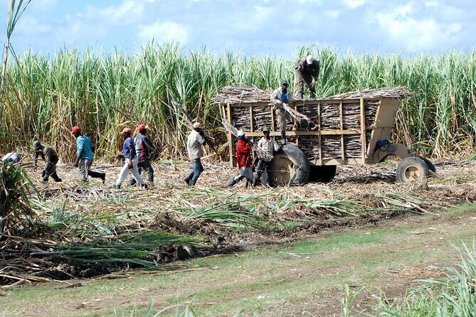 Bayahibe Safari Discovery - Frequently Asked Questions