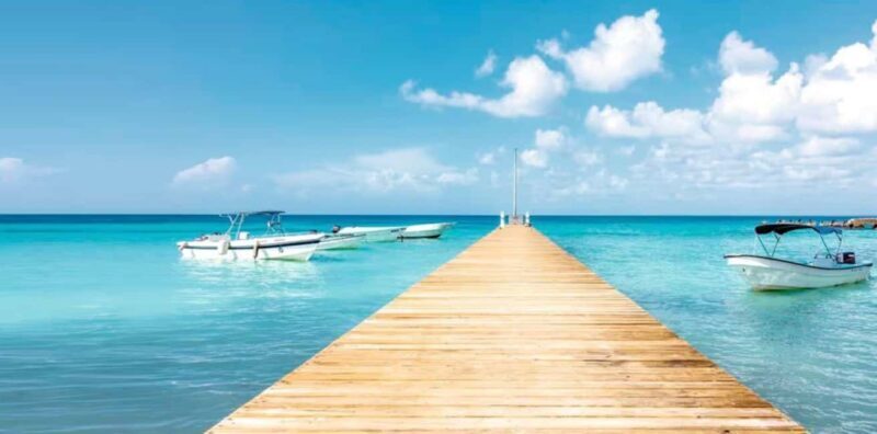 Bayahibe: Samaná and Miches Whale Watching Day Trip - Who Should Consider This Tour?