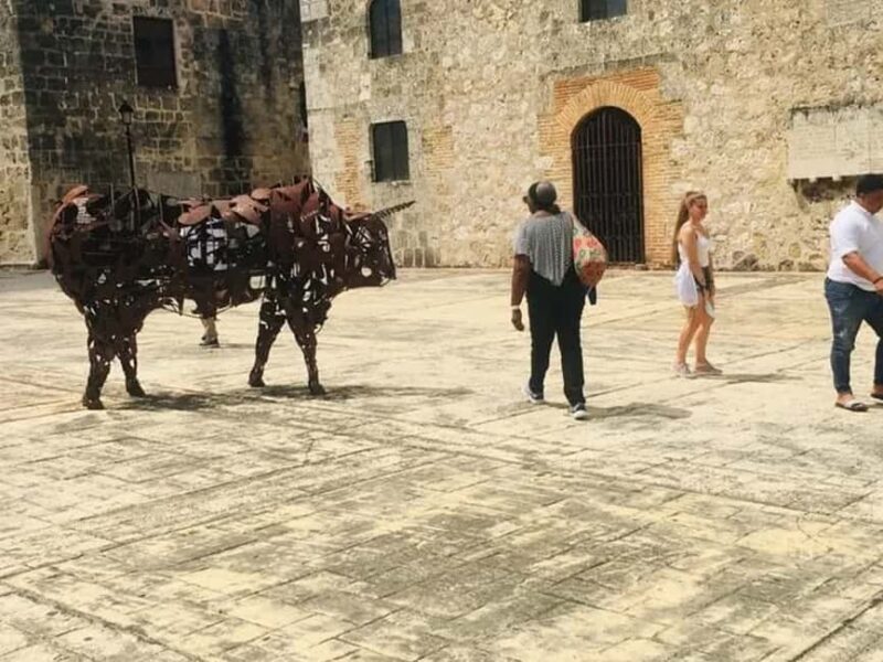 Bayahibe: Santo Domingo Full-Day Tour with Lunch - Practical Details and What They Mean for You