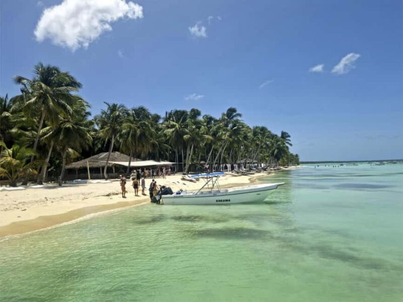 Bayahibe: Saona Island Boat Tour Small Group - What Travelers Can Expect