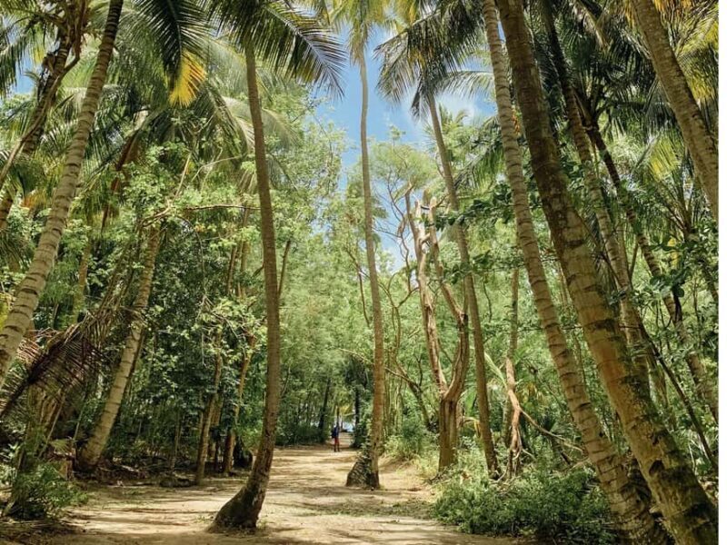 Bayahibe: Saona Island Boat Tour Small Group - The Value of This Tour