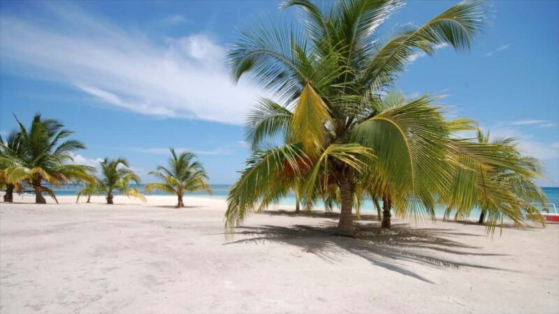 Bayahibe: Saona Island Sailing in catamaran with open bar - Who Is This Tour Perfect For?