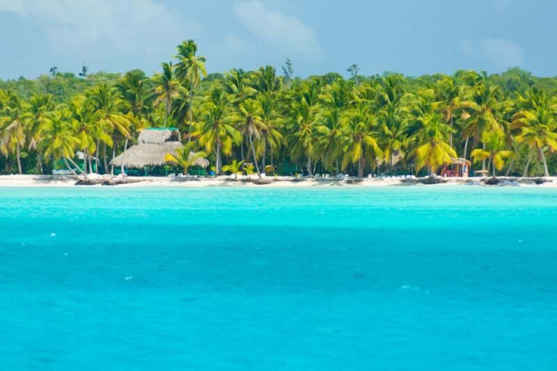 Bayahibe: Saona Island Tour with Lunch and Boat Ride - Savoring the Flavors — The Dominican Lunch