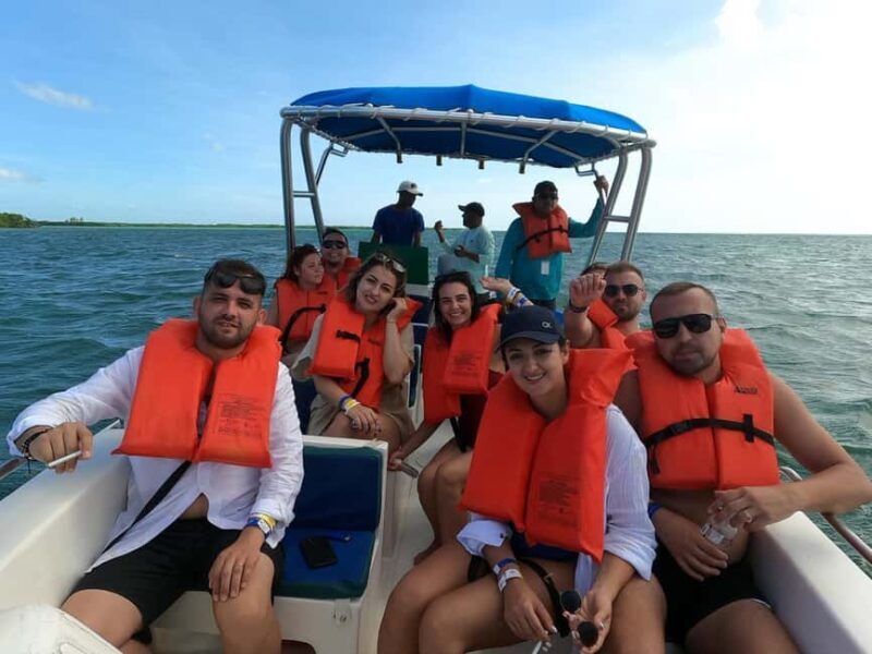 Bayahibe: Saona Island VIP Tour with Lunch & Drinks - Who Will Love This Tour?
