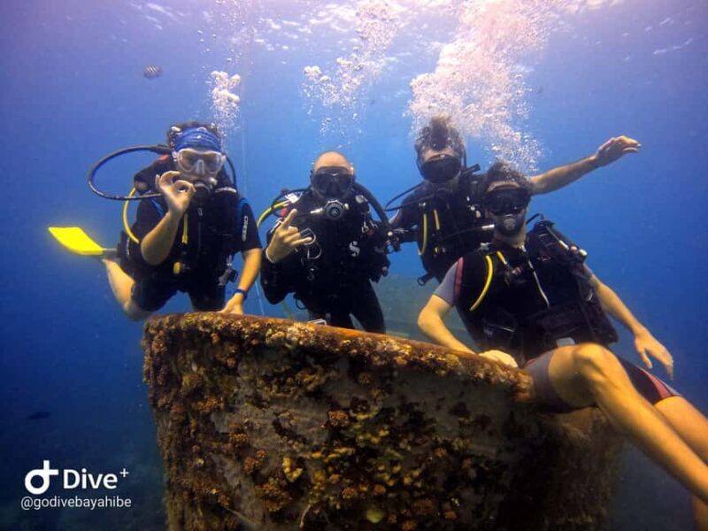 Bayahibe: Scuba Diving Initiation by Go Dive Bayahibe - Key Points
