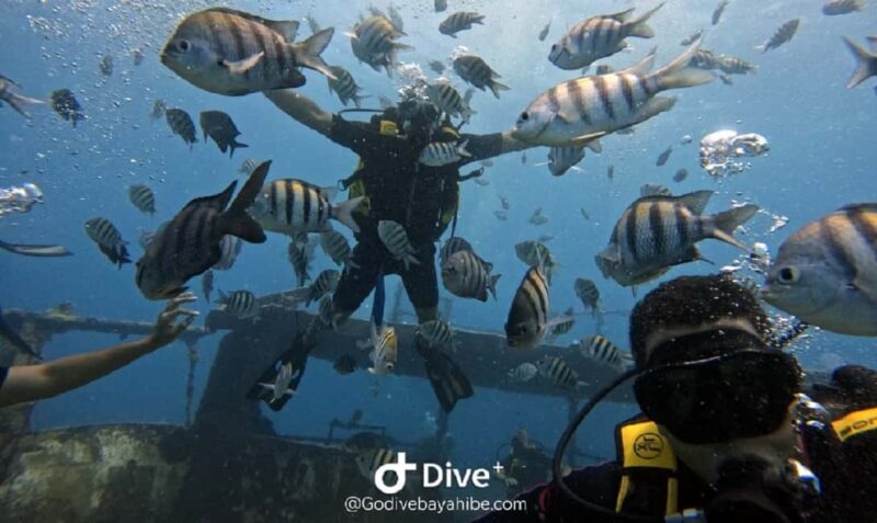 Bayahibe: Scuba Diving Initiation by Go Dive Bayahibe - The Value of this Experience
