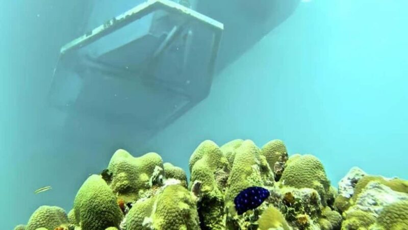 Bayahibe: Semi-Submarine Tour with Snorkeling & Drinks - Practical Details: Transport, Timing, and Group Size