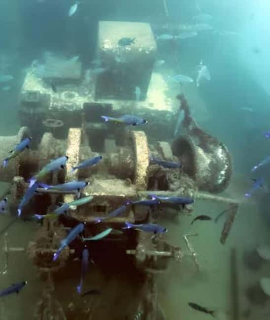 Bayahibe: Semi-Submarine Tour with Snorkeling & Drinks - Who Will Love This Tour?