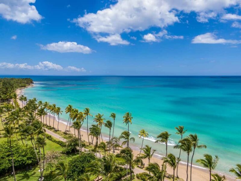 Bayahibe: Whale-Watching Cruise & Cayo Levantado Day Trip - The Value of This Tour