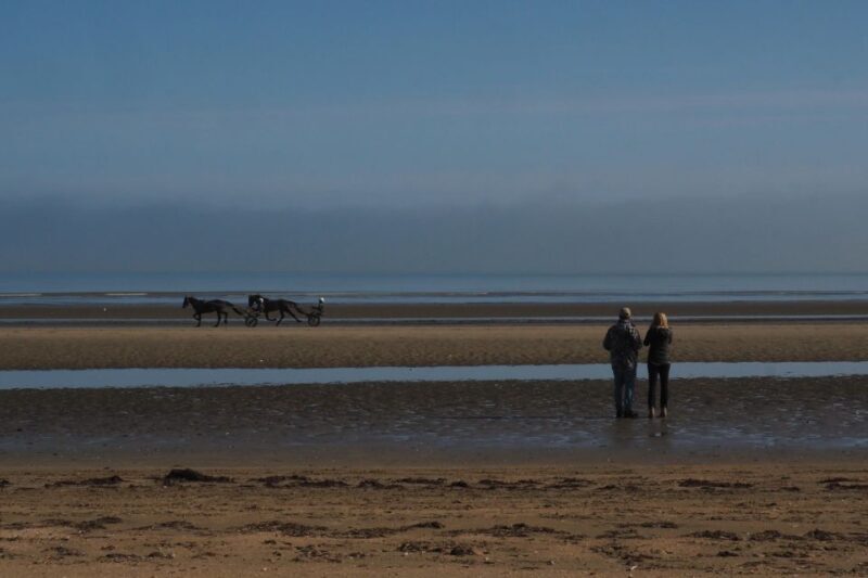 Bayeux : Full-day excursion D-Day landing beaches - Who Should Consider This Tour?