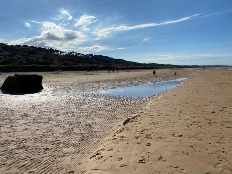 Bayeux: Omaha Beach Highlights Half-Day Tour - An In-Depth Look at the Tour Experience